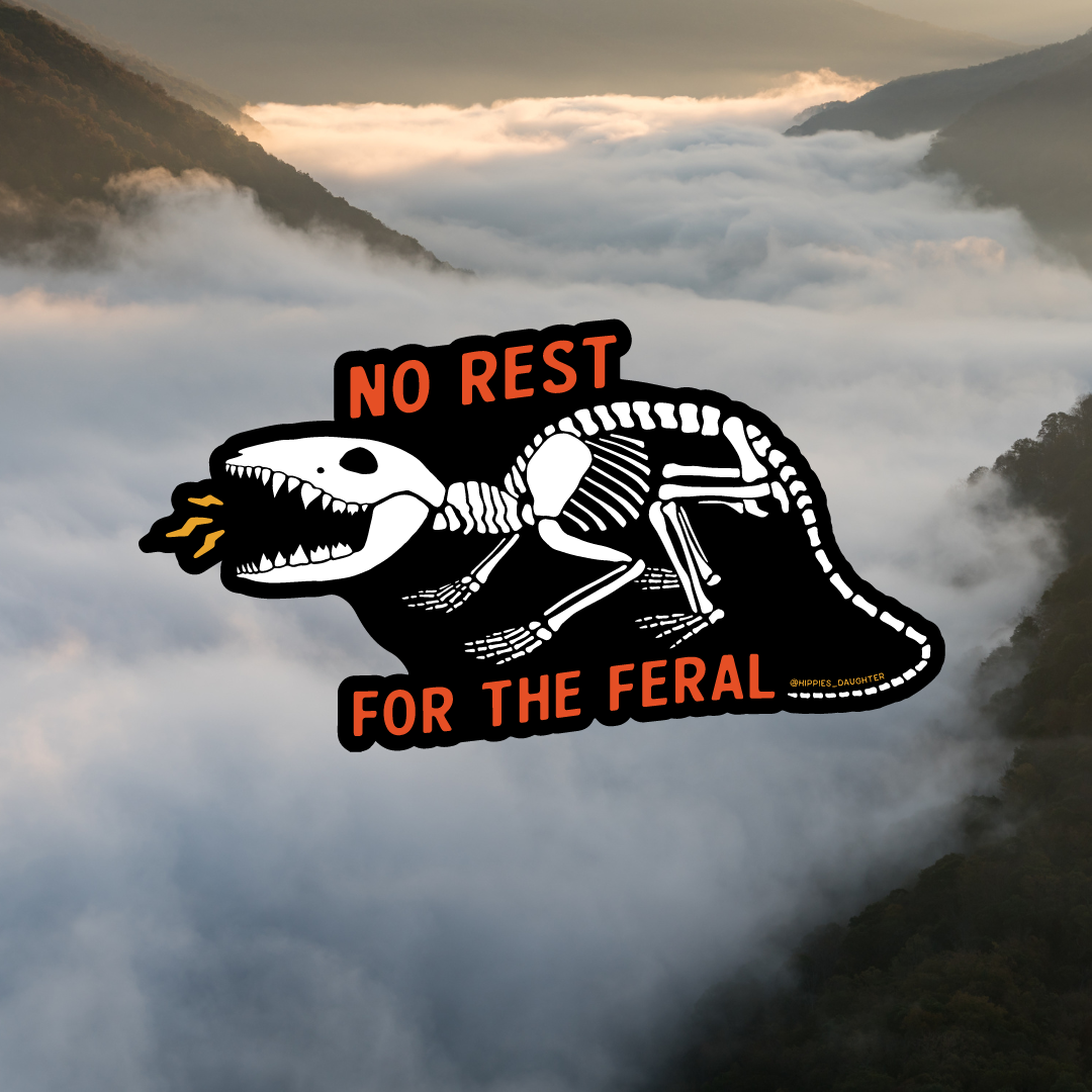 No rest possum // sticker – Hippie's Daughter