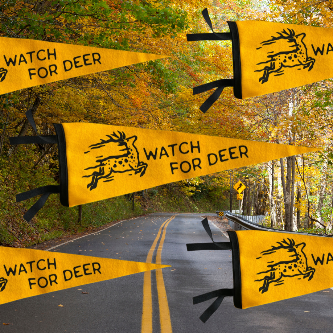 Watch for deer // Pennant – Hippie's Daughter